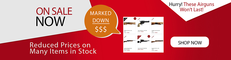 RWS Diana Model 6G | SKU 6227 - BakerAirguns.com